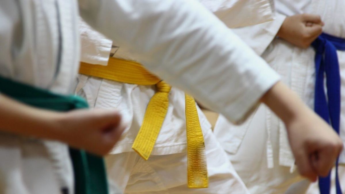 Cuáles son los cinturones en karate Mugendo Martial Arts